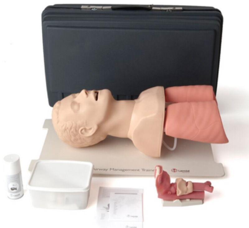 Laerdal Airway Management Trainer | NYSIM